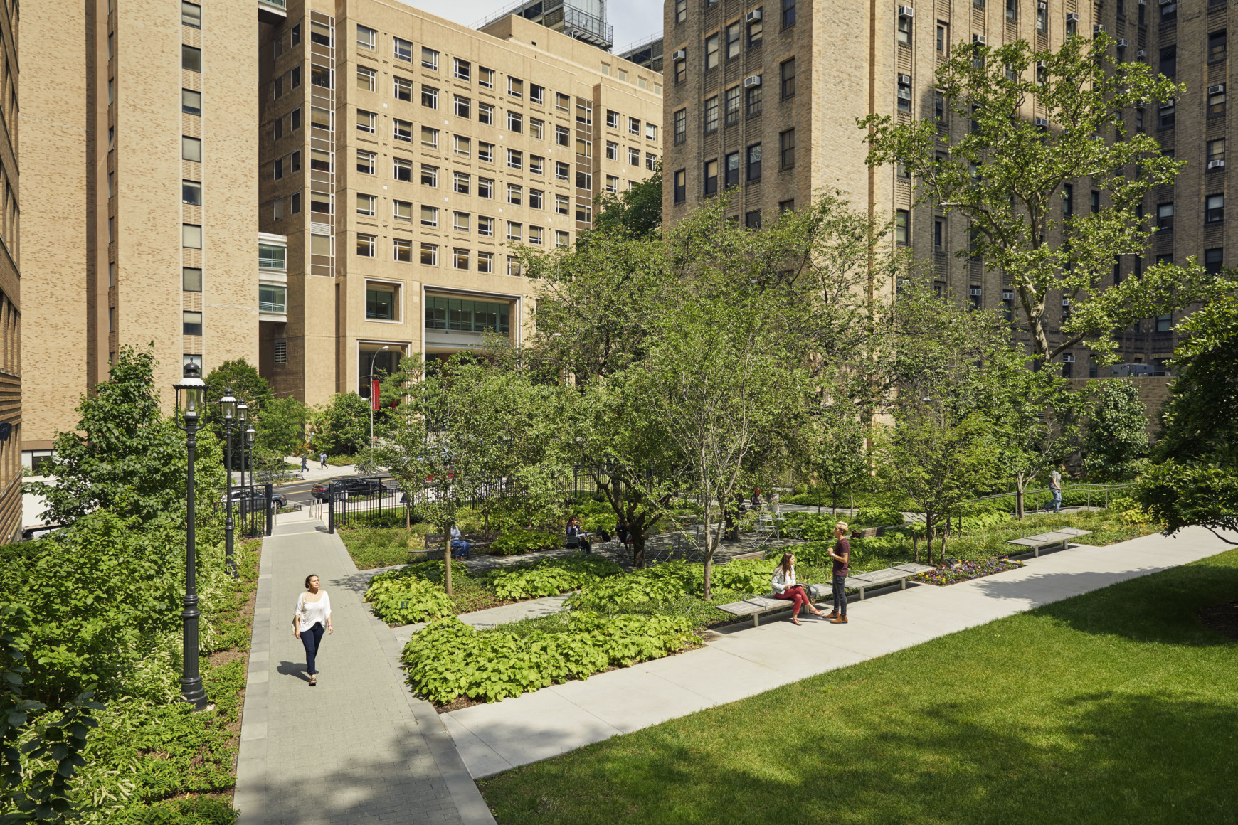 New York-Presbyterian & Columbia University Medical Campus Joint Master ...