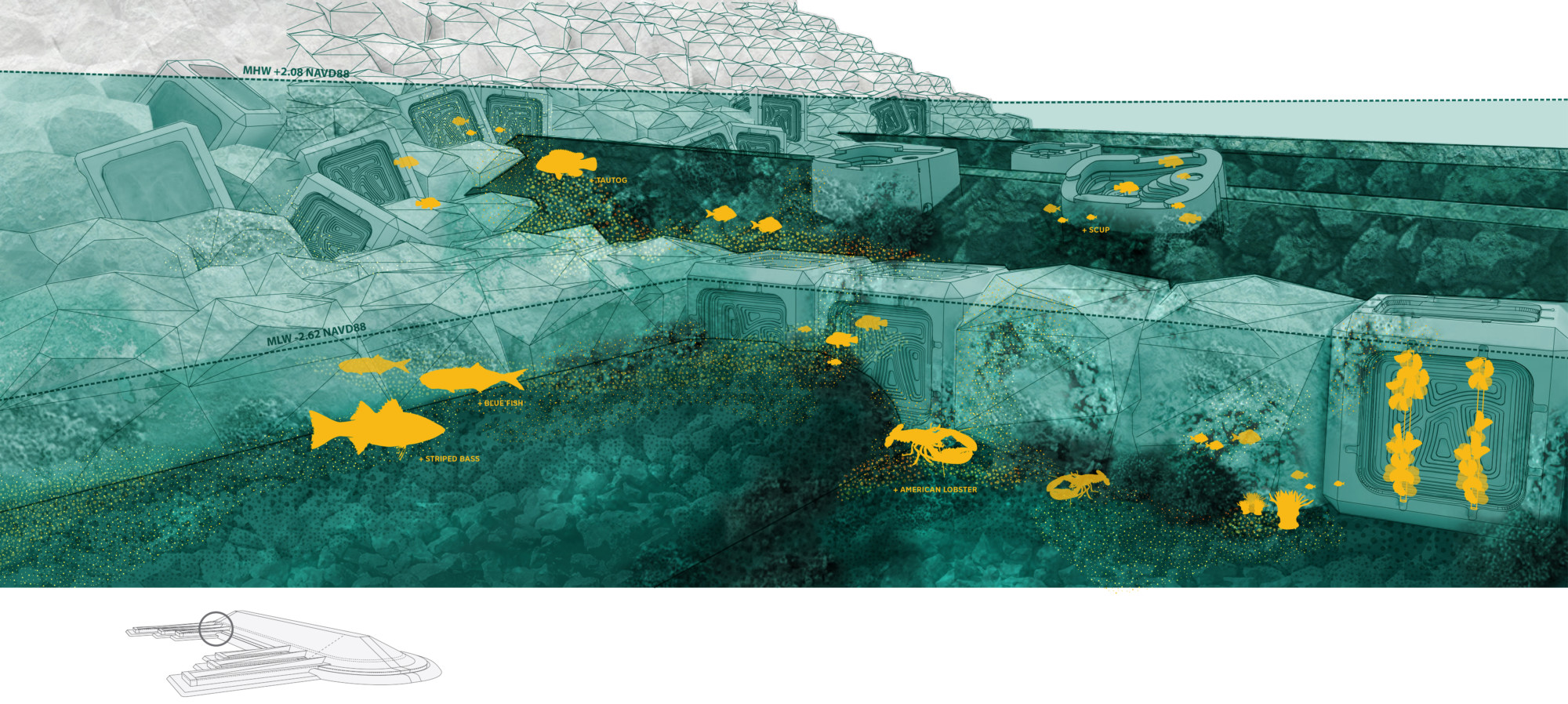 Living Breakwaters - SCAPE