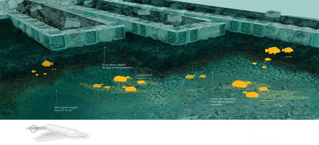 Best Practices for Community Engagement in Living Breakwaters - SCAPE