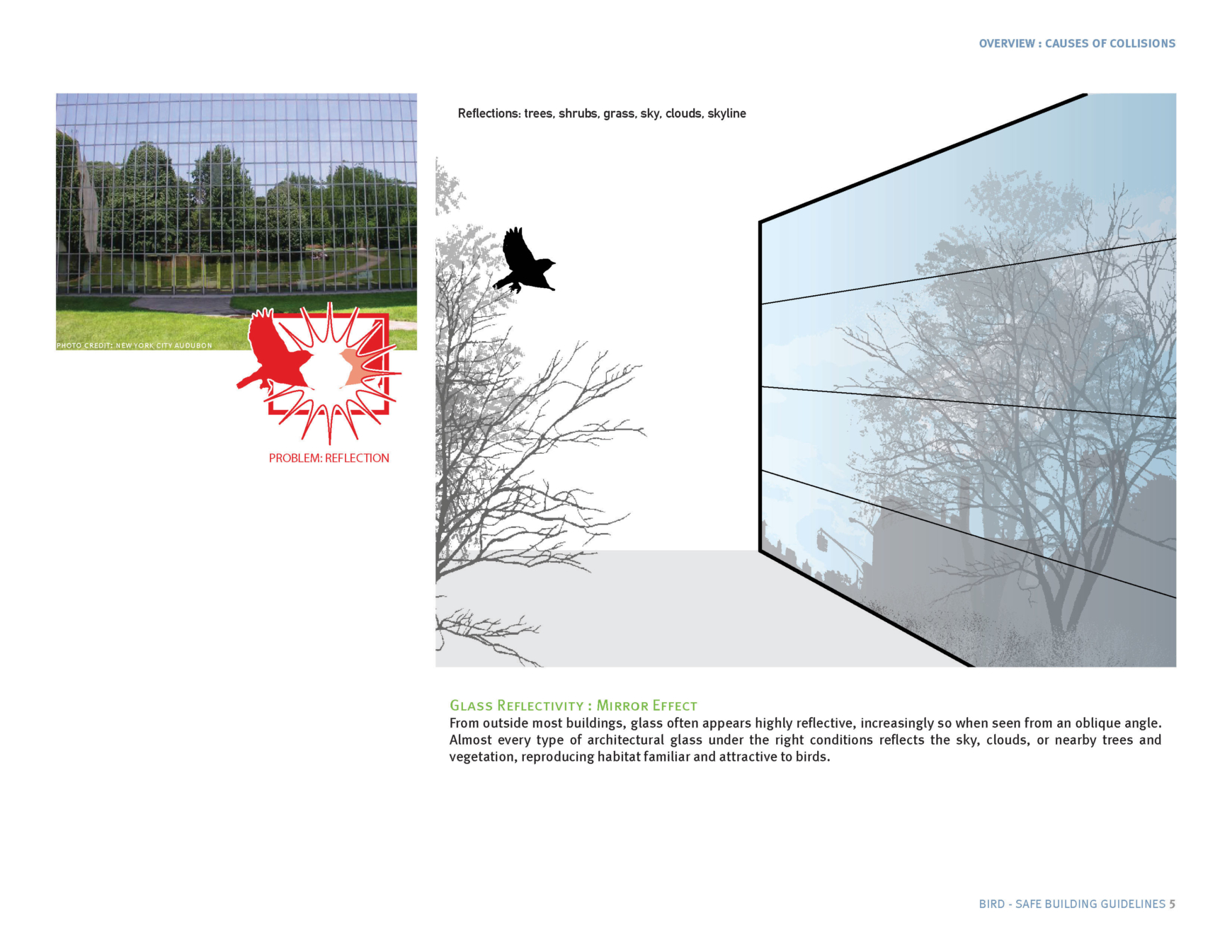 Bird-Safe Building Guidelines - SCAPE