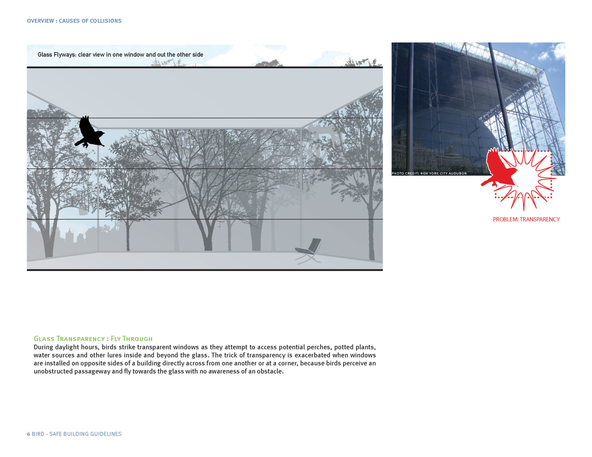 Bird-Safe Building Guidelines - SCAPE