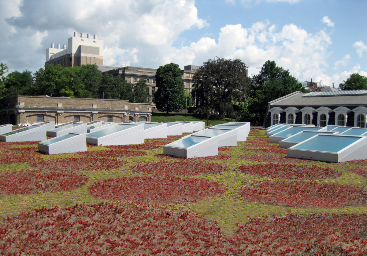 Cornell University Milstein Hall - SCAPE