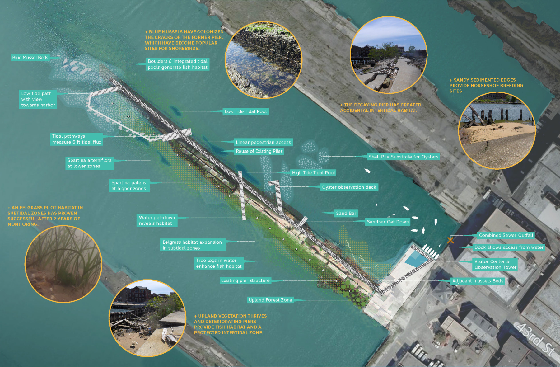 Deconstructed Salt Marsh - SCAPE