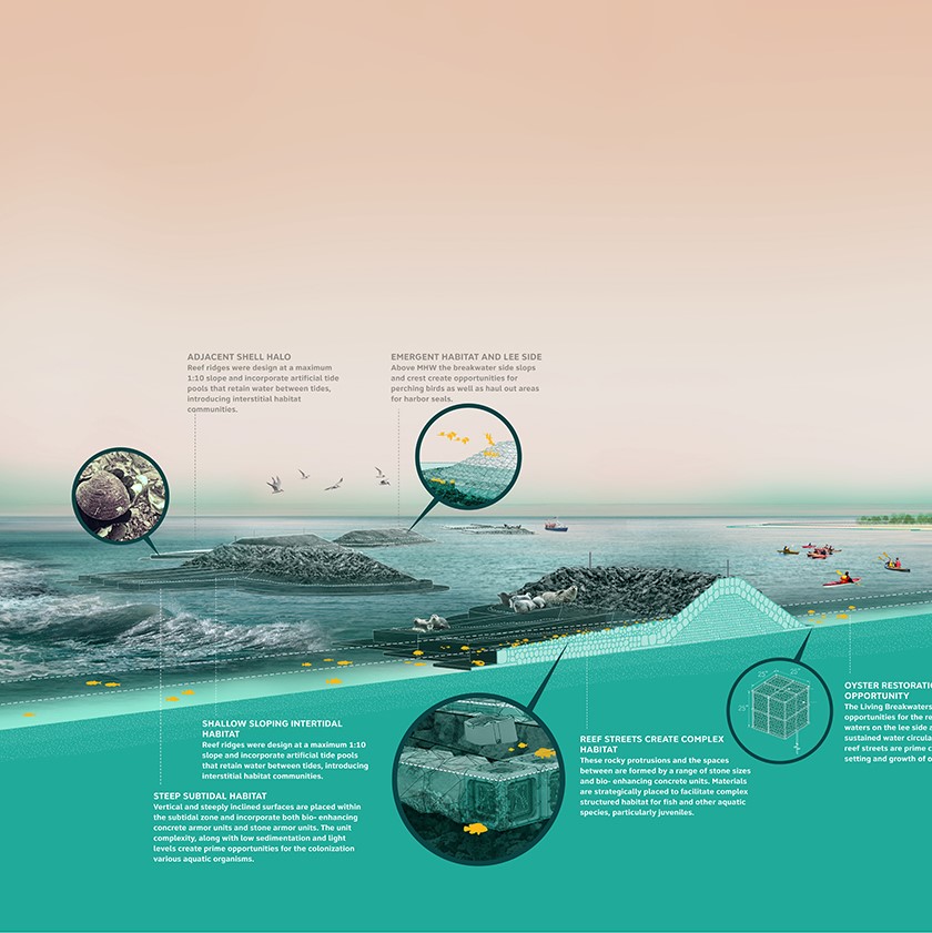 Living Breakwaters: Design and Implementation - SCAPE