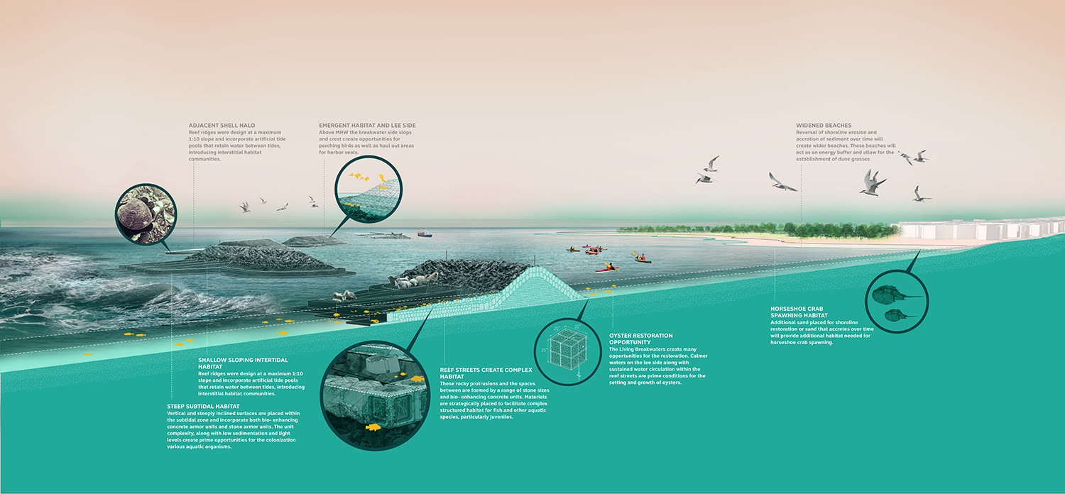 Living Breakwaters: Design and Implementation - SCAPE