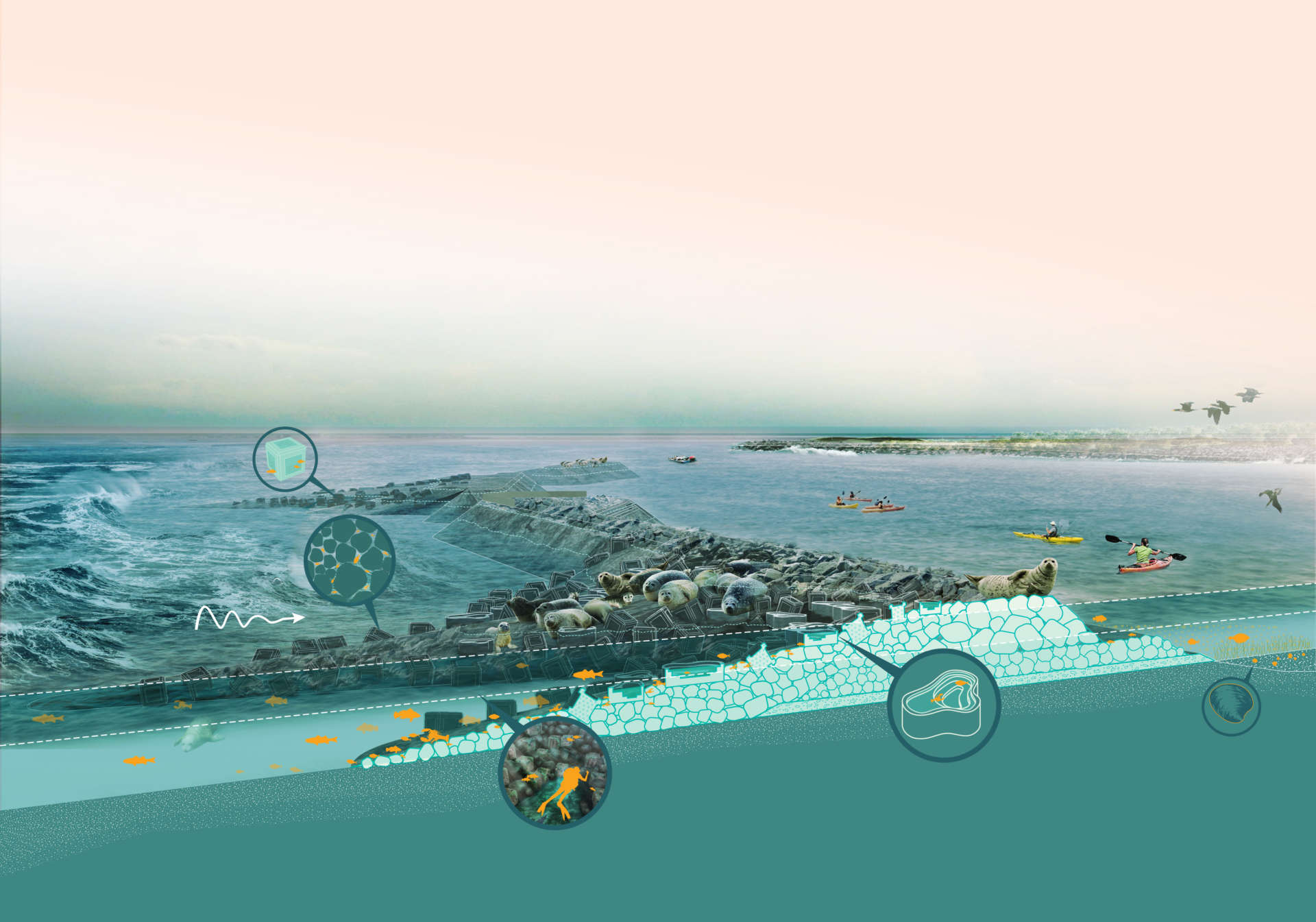Living Breakwaters - SCAPE