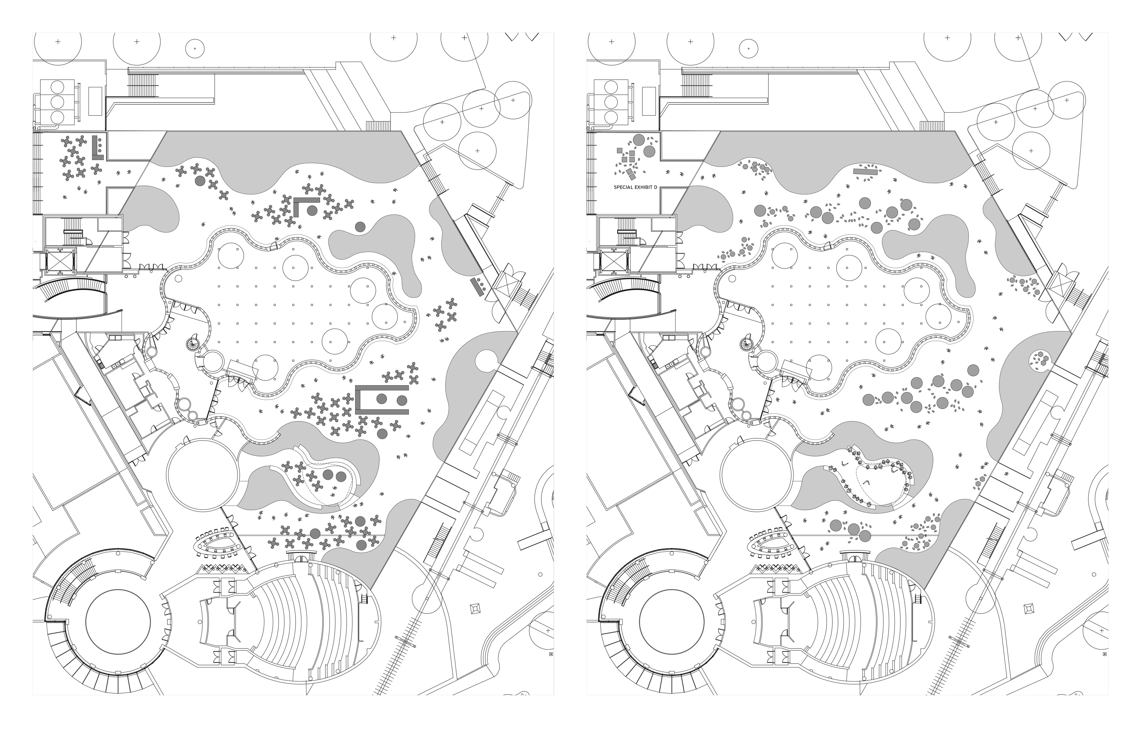 Program-Plan - SCAPE