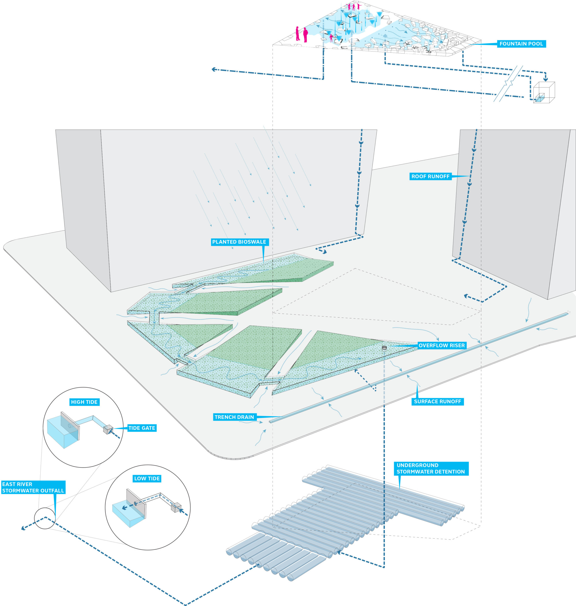 Ideas - SCAPE