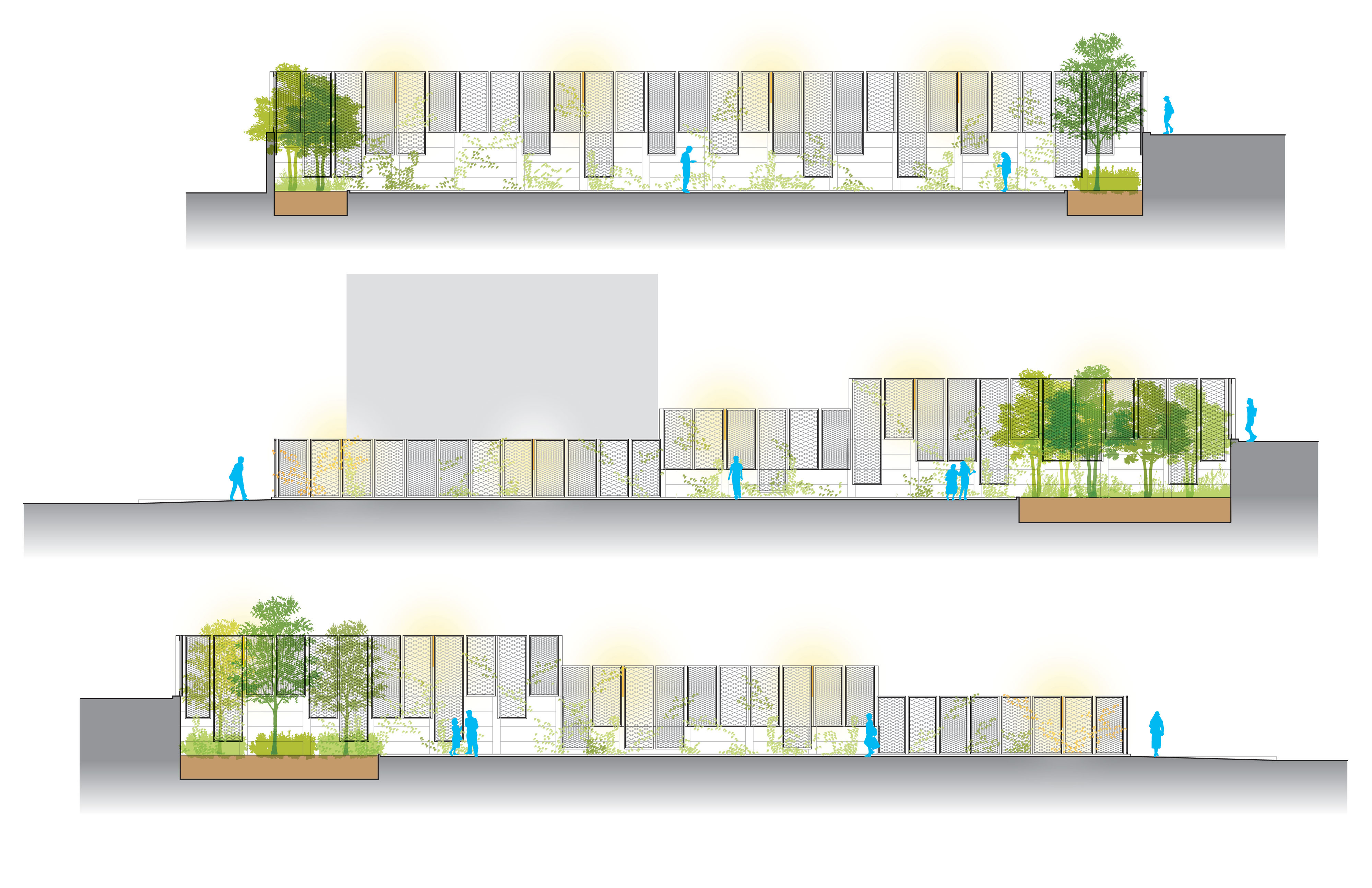 rendered-section-01 - SCAPE