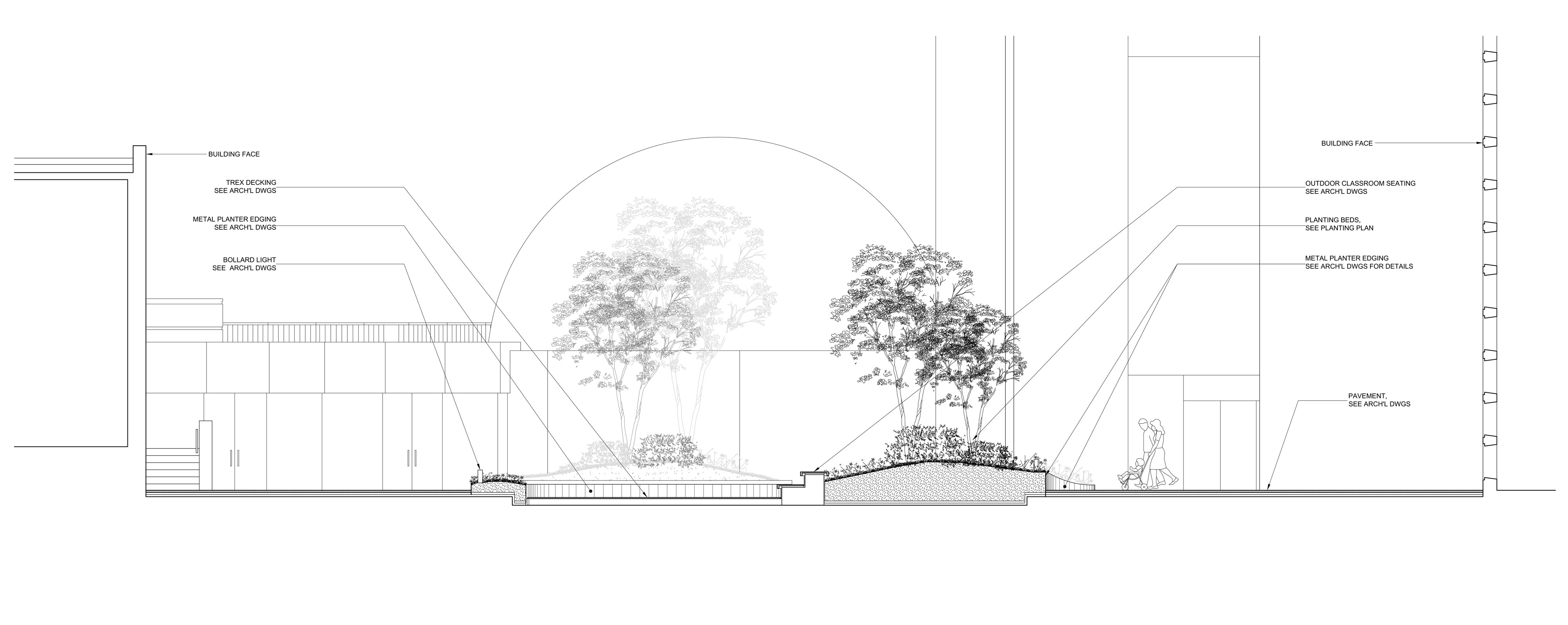 section - SCAPE