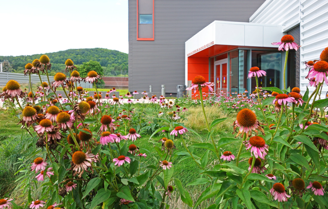 SUNY Cobleskill Agricultural Science and Technology Center - SCAPE