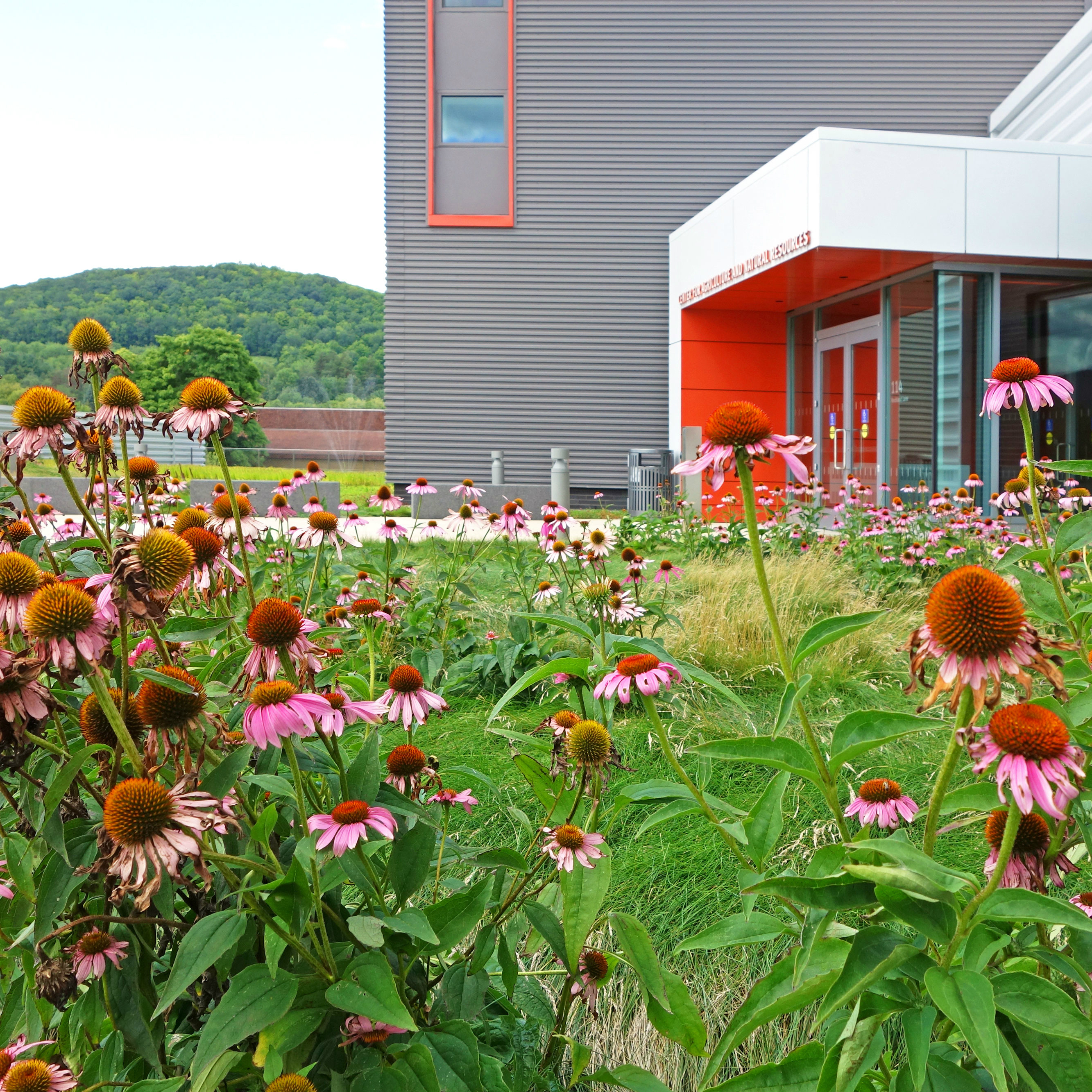 SUNY Cobleskill Agricultural Science and Technology Center - SCAPE