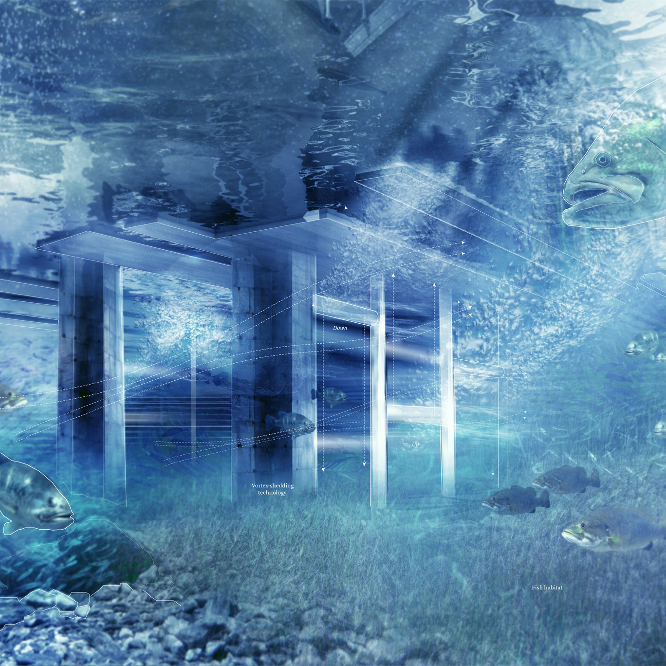 Confluence: Portal to the Point - SCAPE