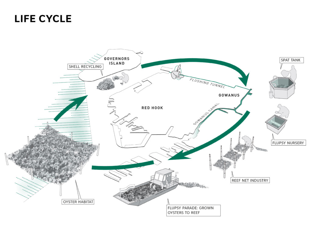 Urban Agenda Magazine features SCAPE's Oyster Related Projects - SCAPE