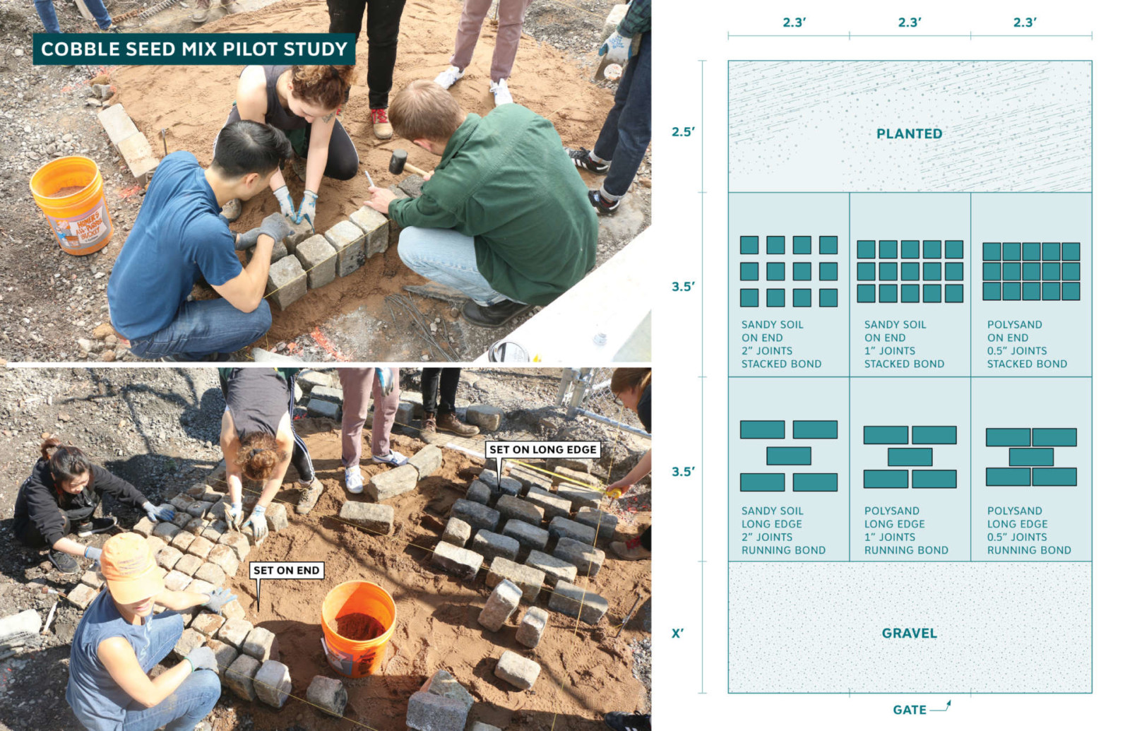 Gowanus Lowlands - SCAPE