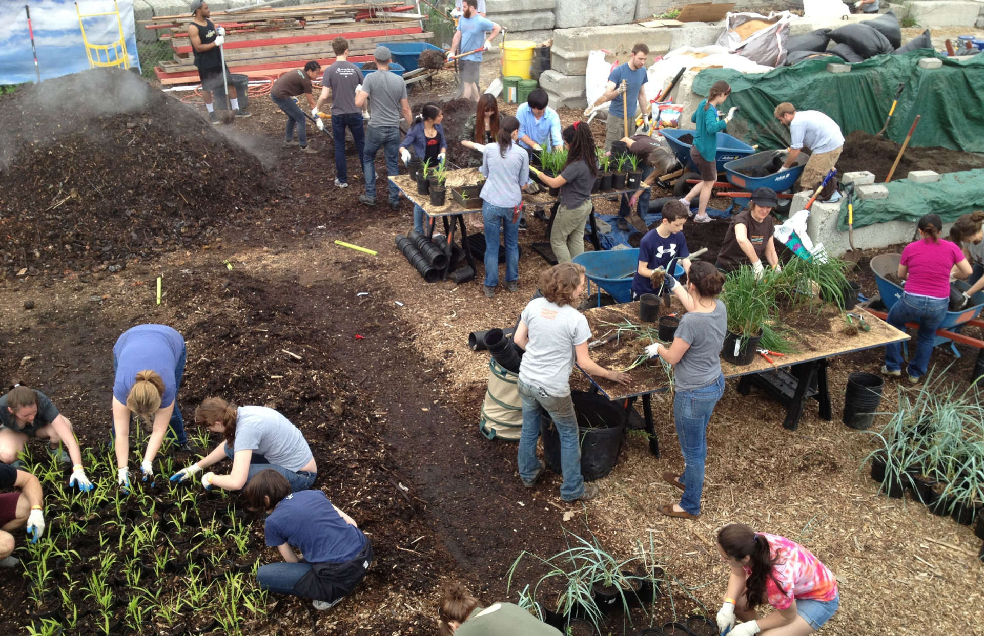 Gowanus Canal Conservancy Planting Day_(c) GCC - SCAPE