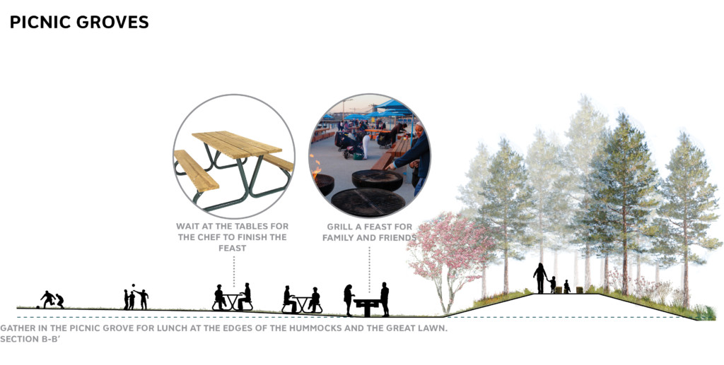 Section_Picnic Grove - SCAPE