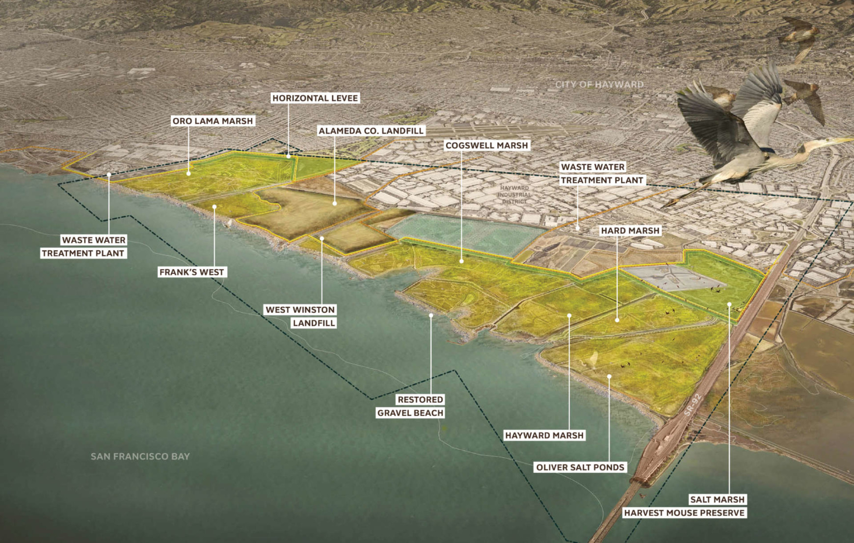 Hayward Regional Shoreline Adaptation Master Plan - SCAPE