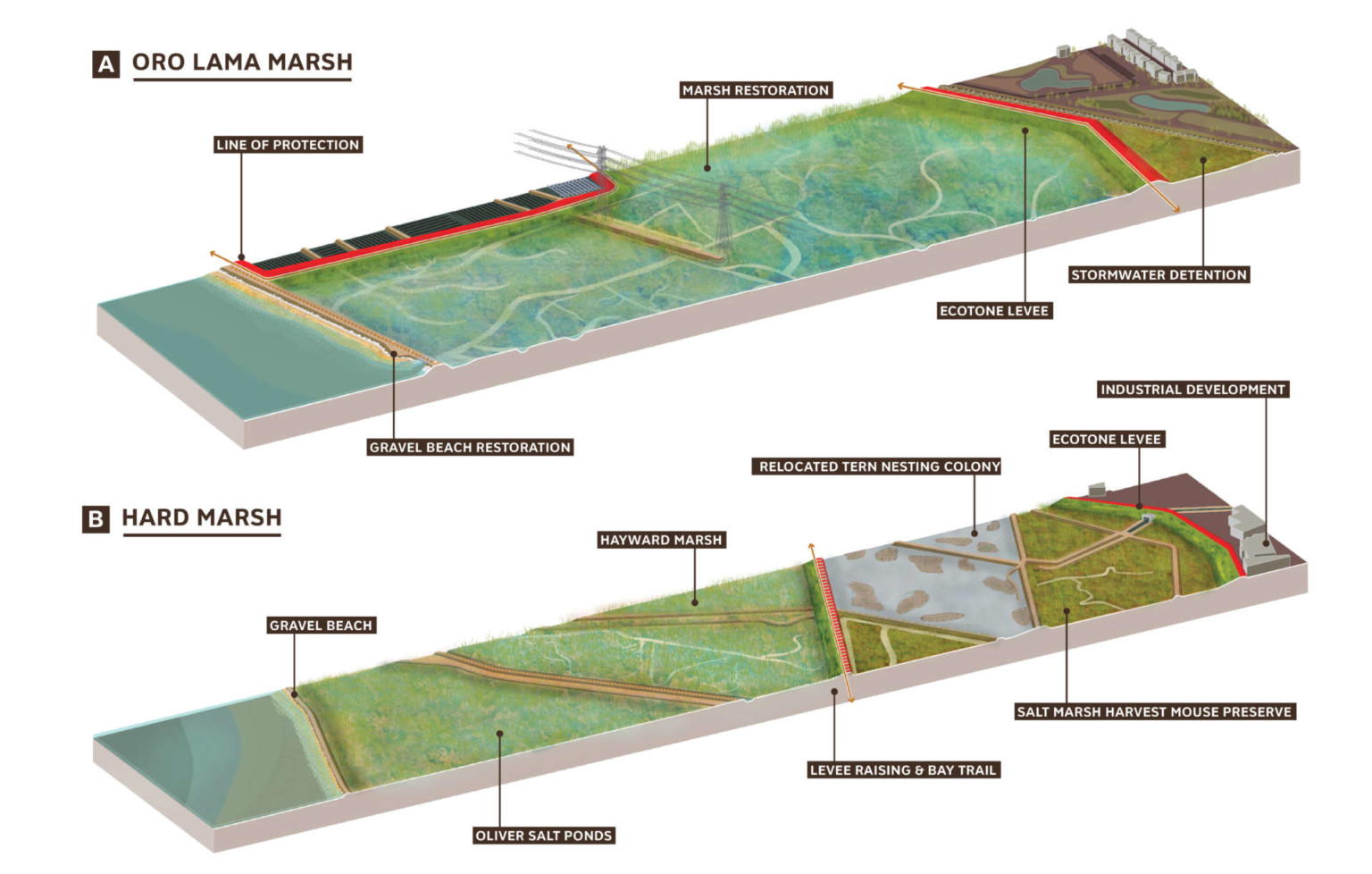 Hayward Regional Shoreline Adaptation Master Plan - SCAPE