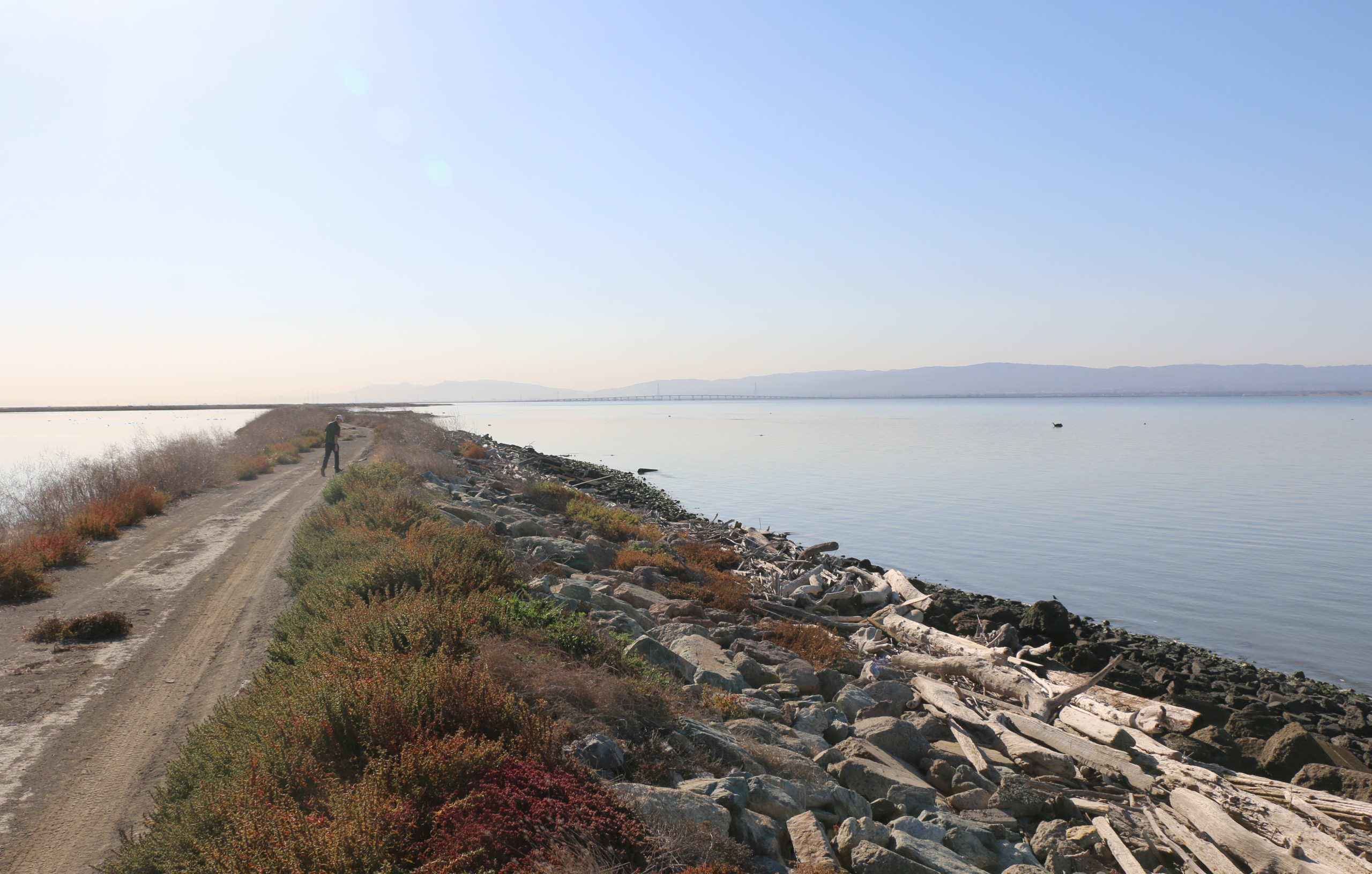Eden Beach - SCAPE