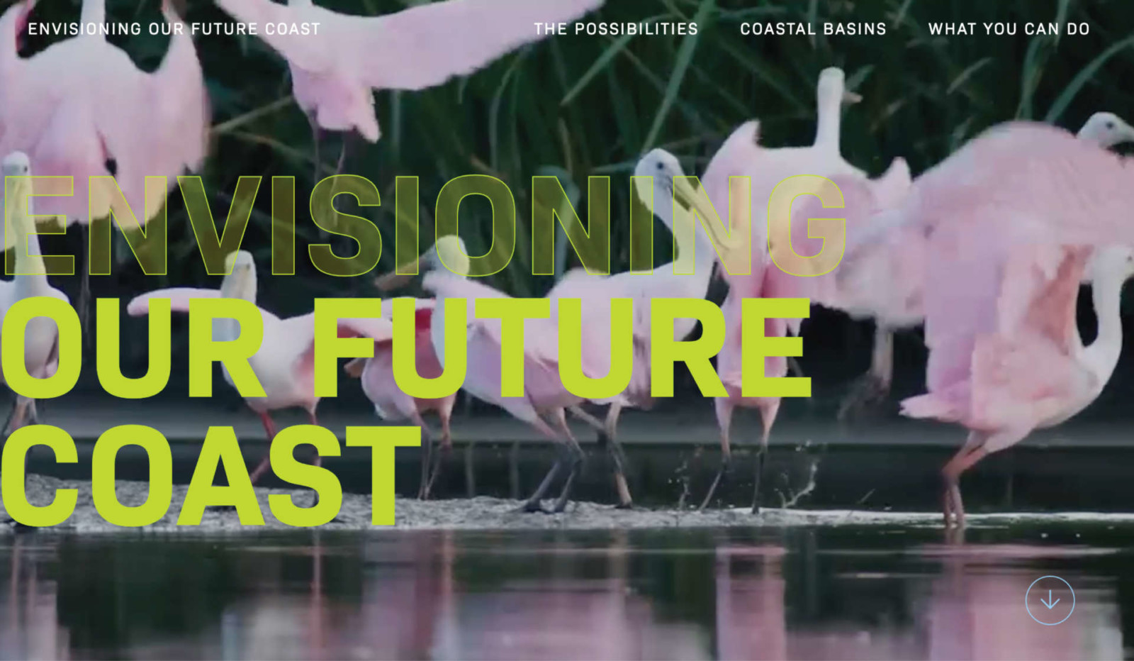 Our Future Coast - SCAPE