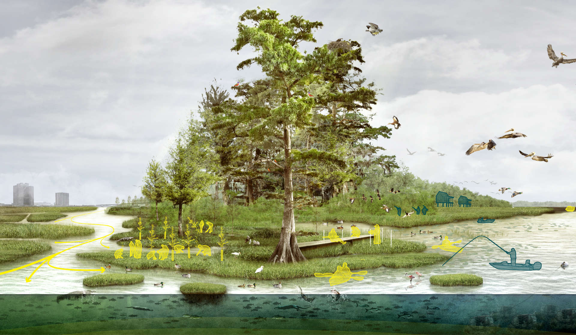 210312 Our Future Coast—Image Selection (High Res) Report9 - SCAPE
