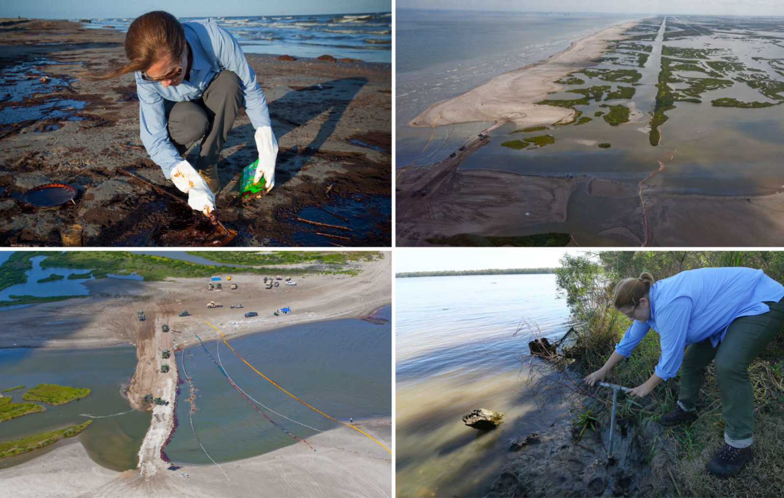Our Future Coast - SCAPE