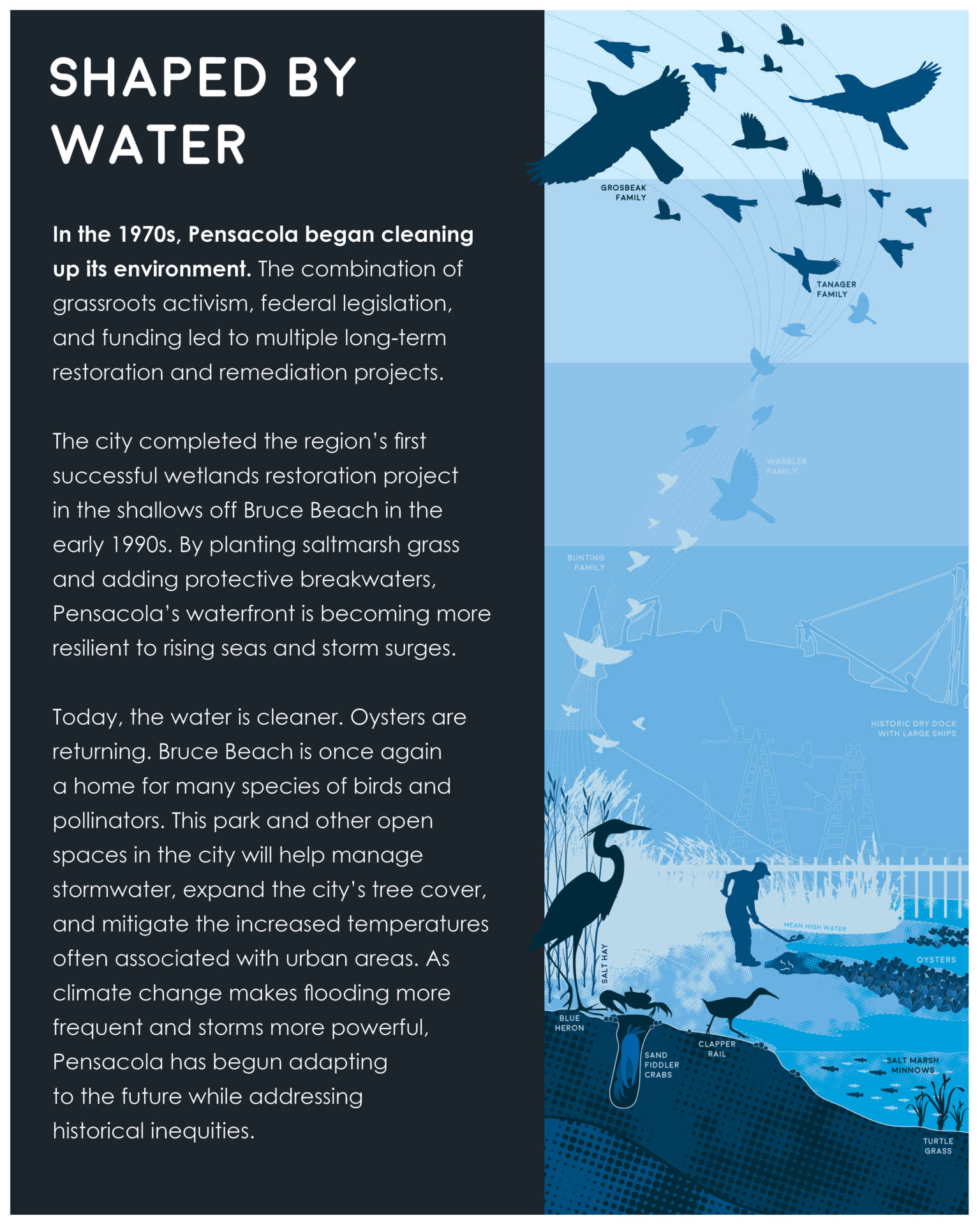 Bruce Beach: Interpretive Signage - SCAPE