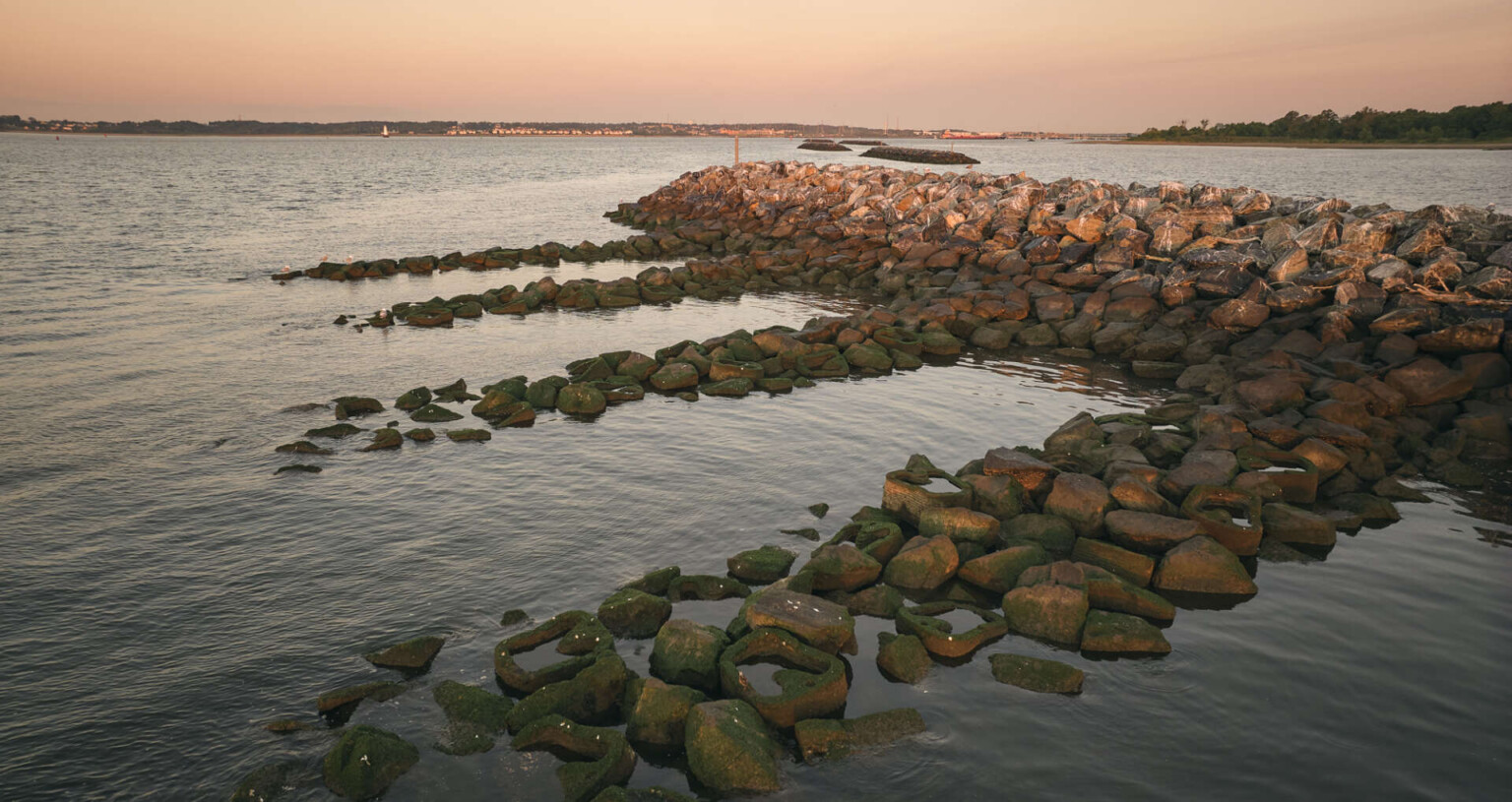 Living Breakwaters - SCAPE