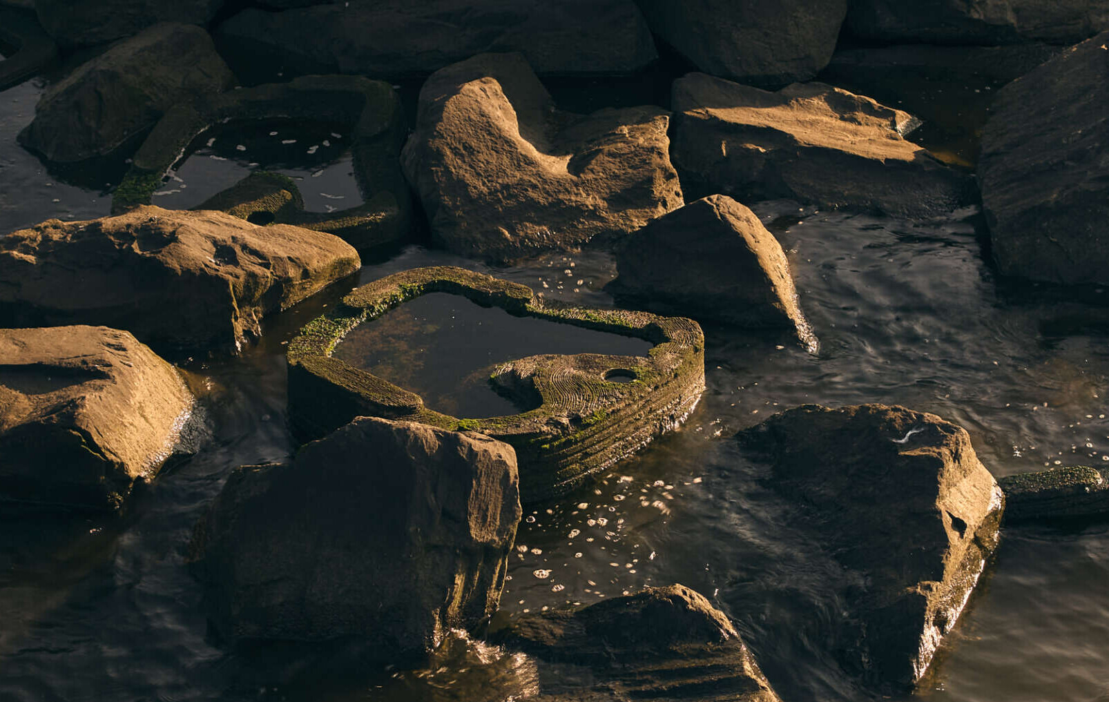 Living Breakwaters - SCAPE