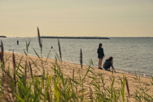 Living Breakwaters - SCAPE