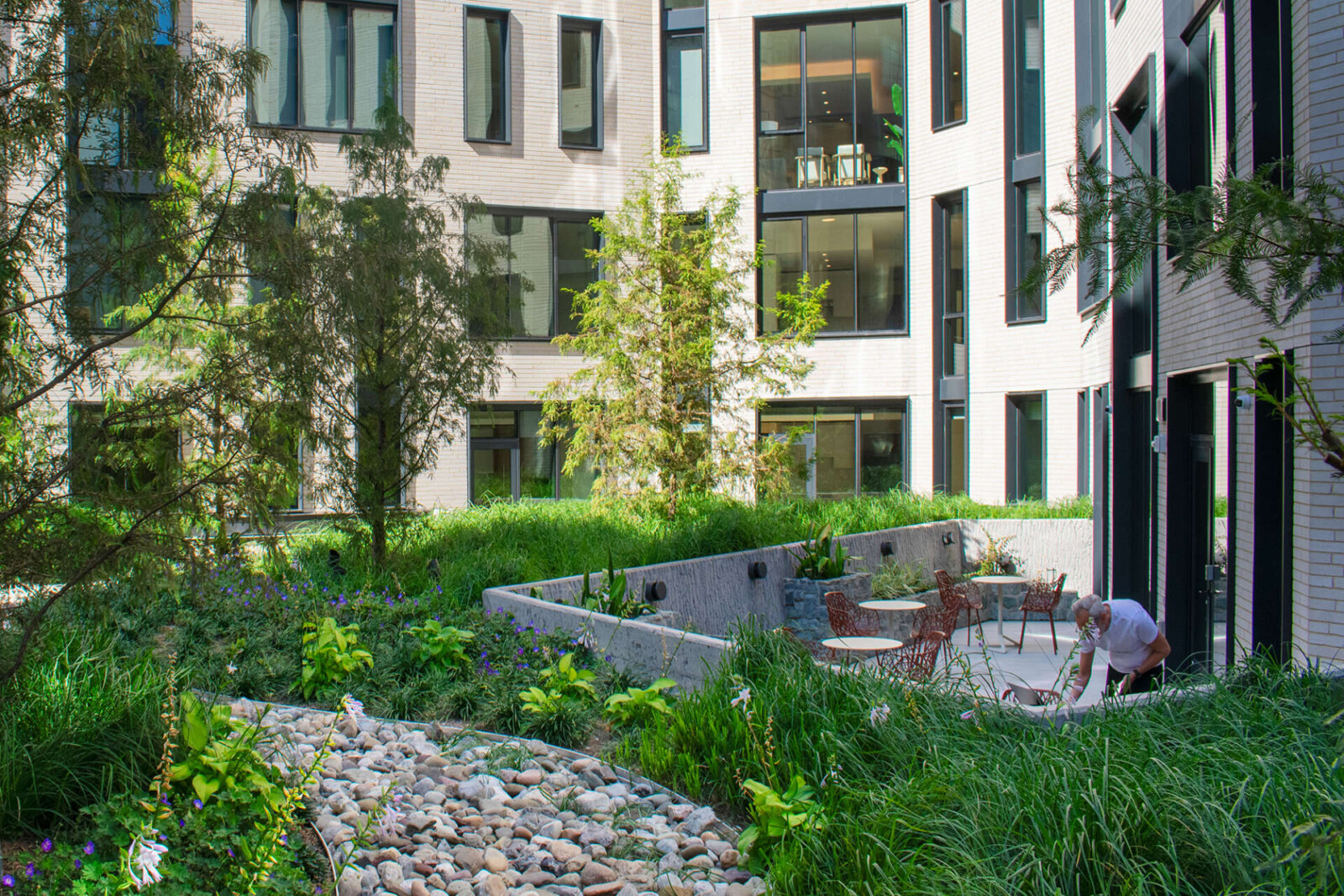 Neal Place Park - SCAPE