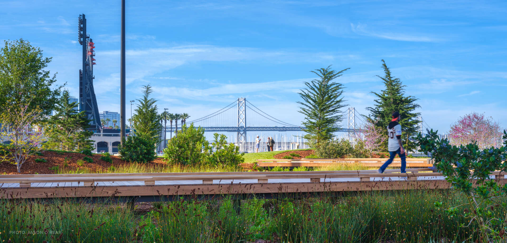 China Basin Park - SCAPE