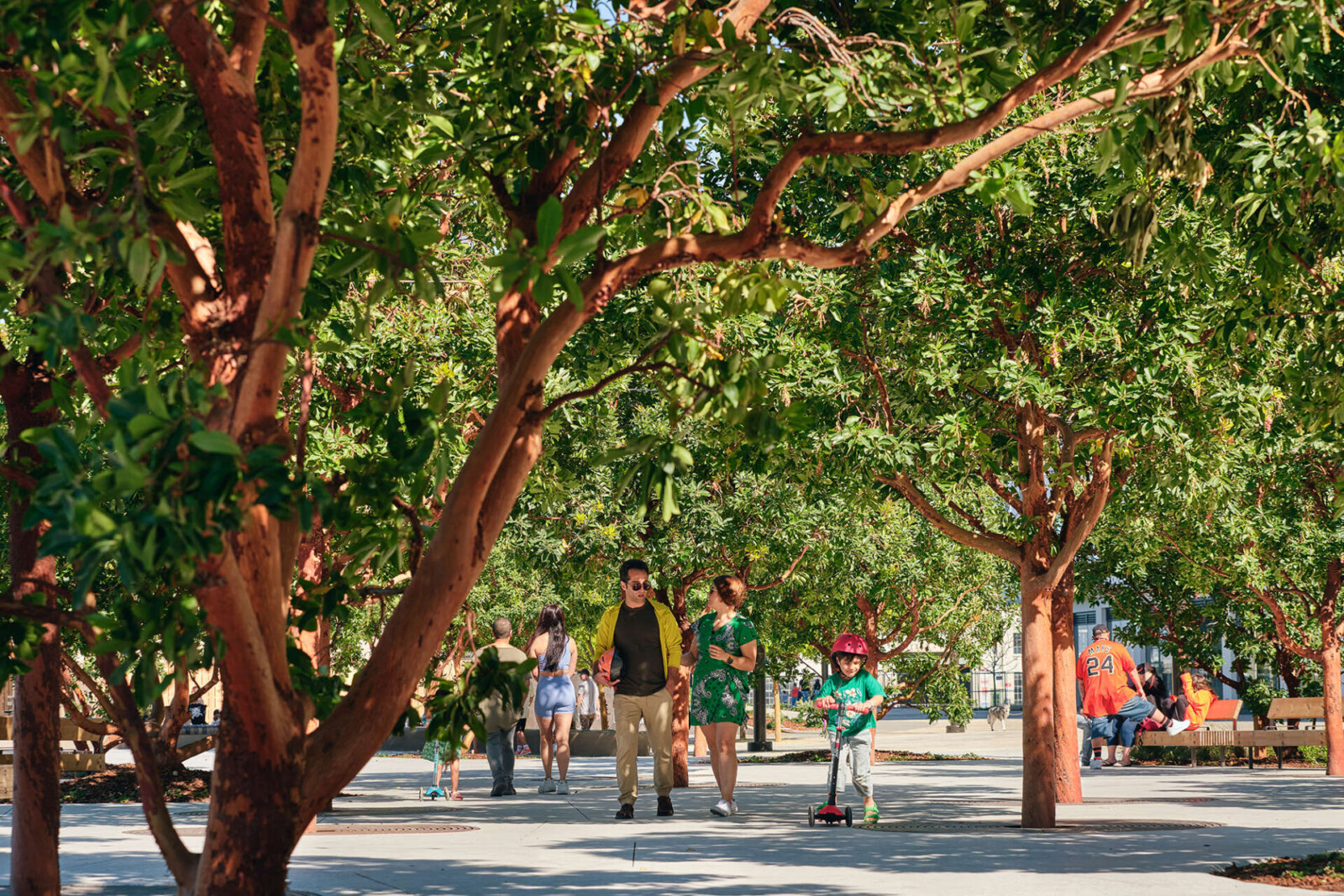 China Basin Park - SCAPE
