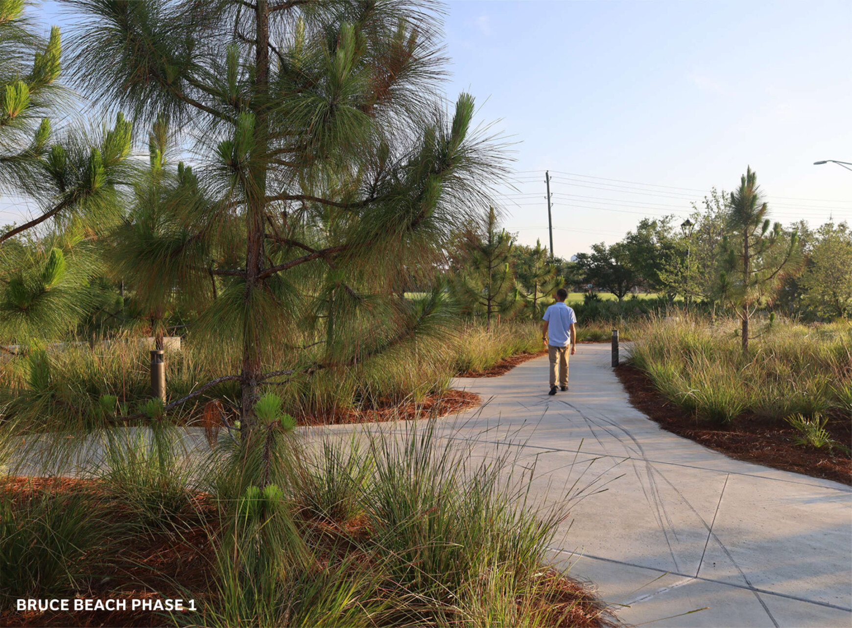 Pensacola Waterfront Framework Plan - SCAPE