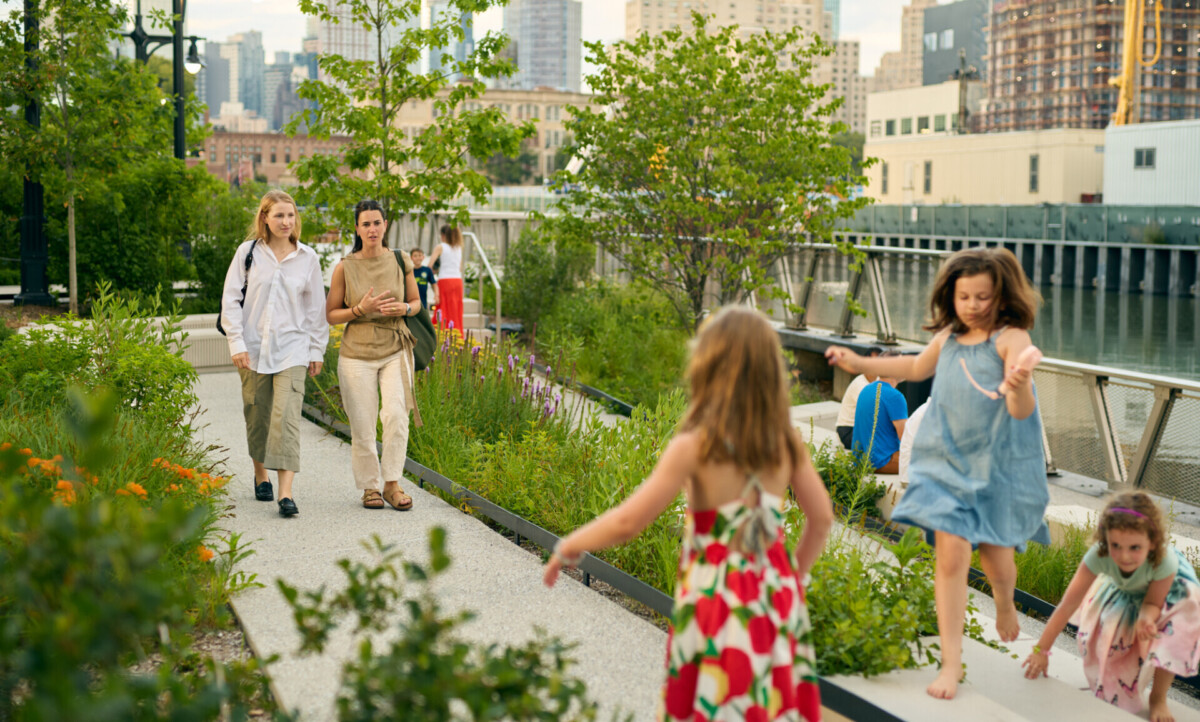 Sackett Community Hub - SCAPE