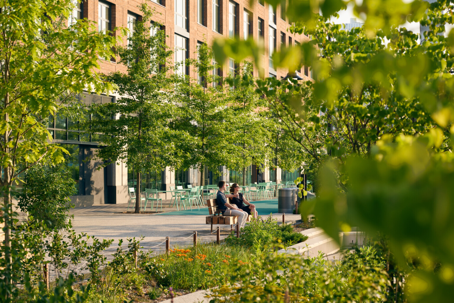 Sackett Community Hub - SCAPE