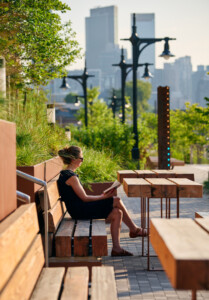 Sackett Community Hub - SCAPE