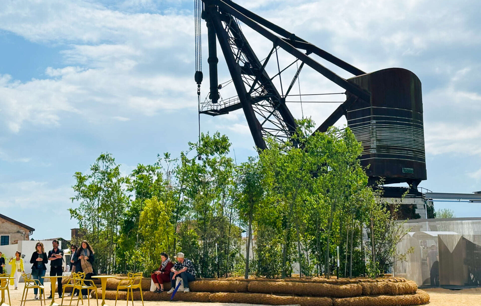Cool Forest: Venice Architecture Biennale - SCAPE
