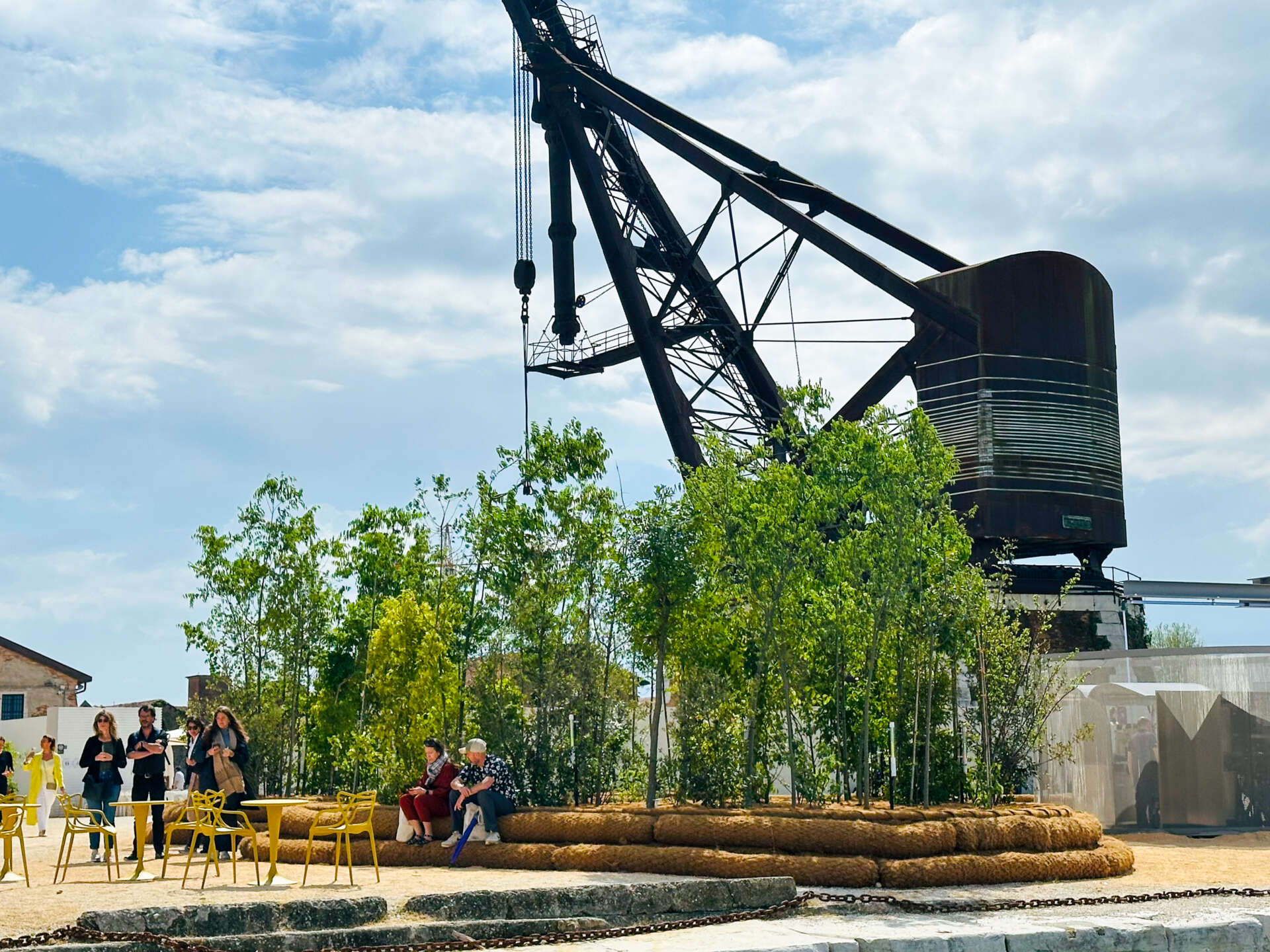 Cool Forest: Venice Architecture Biennale - SCAPE