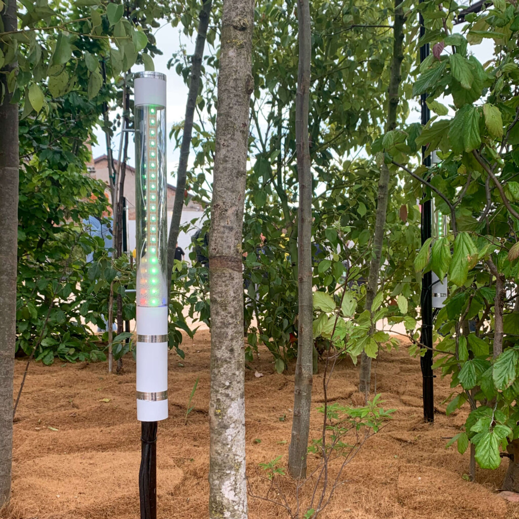 Cool Forest: Venice Architecture Biennale - SCAPE