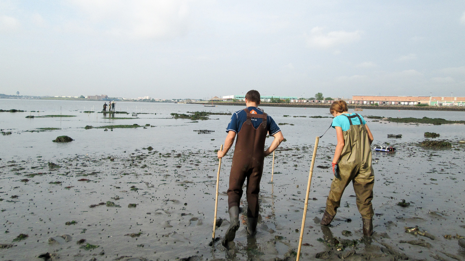 Design Principal Gena Wirth honored as ASLA Fellow - SCAPE